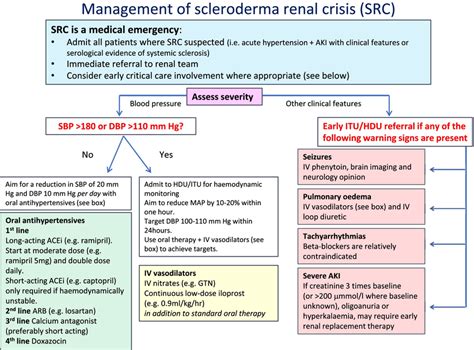Ukssg Guidelines On The Diagnosis And Management Of Scleroderma Renal