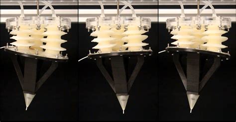 research soft biorobotics perception iit