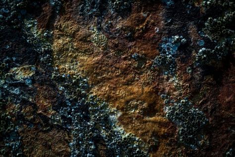 Rust For Python Developers Why You Should Take A Look At The Rust