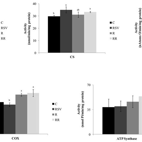 Cpt1 And Cs Sdh Cox And Atp Synthase Activities In Liver From Rats Download Scientific