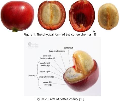 Figure 1 From The Use Of Simple Neural Algorithm In Classifying Single