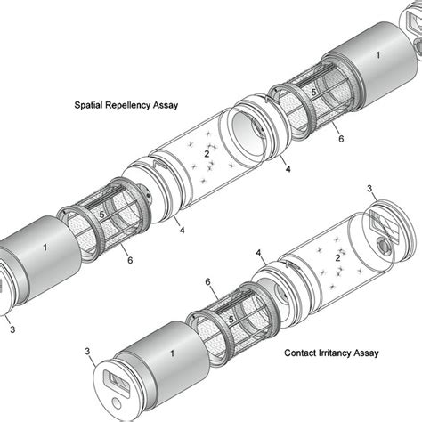 Schematic Drawing Of The High Throughput Screening System Showing The Download Scientific