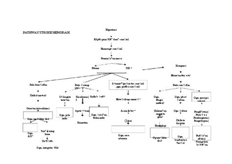 Pdf Pathway Stroke Hemoragik Pdf