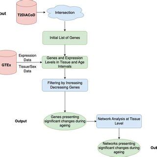 Figure Depicts The Workflow Of The Experiments Performed In The Download Scientific Diagram