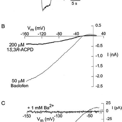 Activation Of Inwardly Rectif Ying Potassium Current By 1 S 3 R Ac Download Scientific