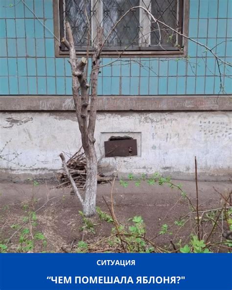 Сергей Терещенко От подписчика «День добрый Наверное многие встречали эту бабушку которая