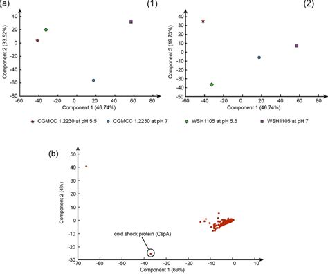 A Principal Component Analysis On Gene Expression Profile Of Four
