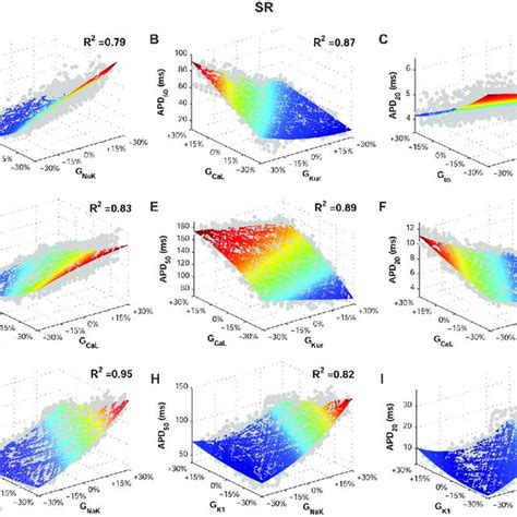 Ionic Conductances Determining Inter Subject Variability In Human