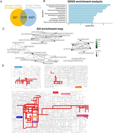 Integrative Rna Seq And Atac Seq Analysis Unveils Antioxidant Defense