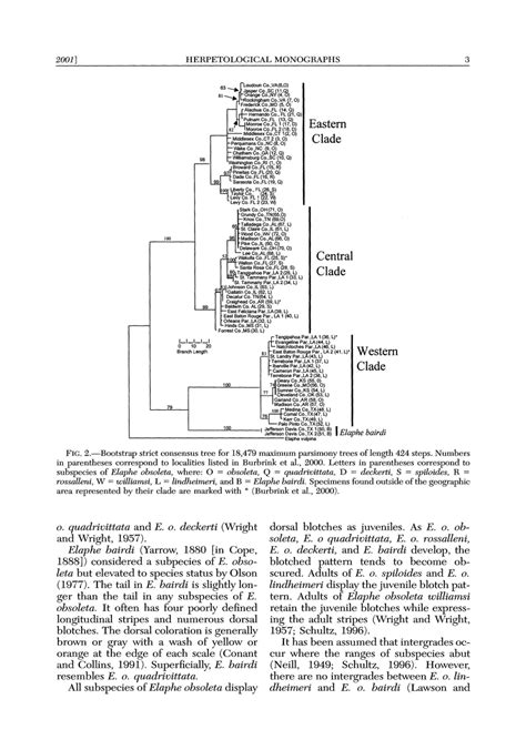 Bootstrap Strict Consensus Tree For 18479 Maximum Parsimony T In Download Scientific Diagram