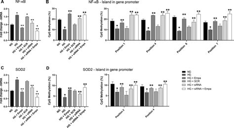Gene Expression And Dna Methylation Of Nf Kb And Sod2 In Transient