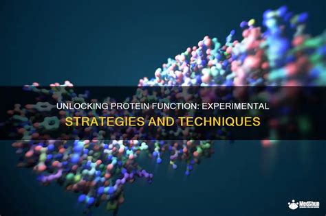 unlocking protein function experimental strategies and techniques
