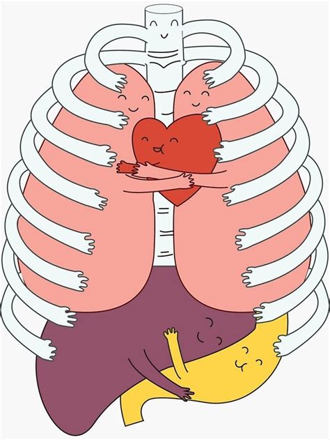How To Draw Lungs Really Easy Drawing Tutorial Artofit