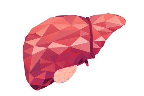 Курс практикум ПЕЧЕНЬ фундамент здоровья