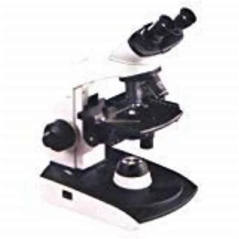 40x Labomed Cxl Plus Binocular Microscope At Best Price In Bengaluru