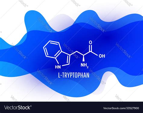Tryptophan Skeletal Formula And Structure Vector Image