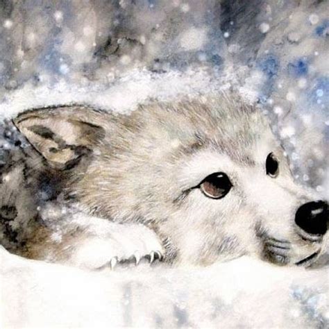 Милый волк 73 фото