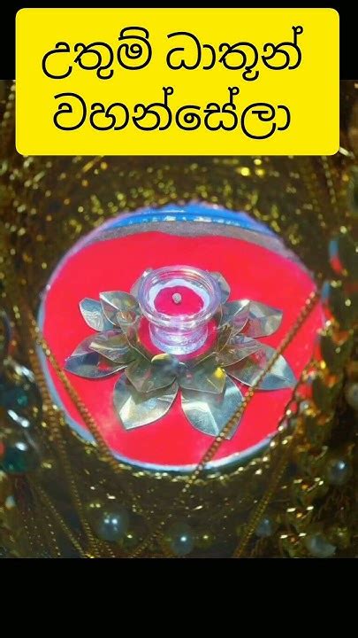 බුදුන් දැක්කා හා සමාන ධාතූන් වහන්සේලා අද වෙසක් පෝය දා වන්දනා කරගන්න 🙏🌺🌿 Youtube