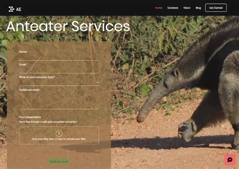 A No Code Alternative For Salesforces Web To Lead Feature