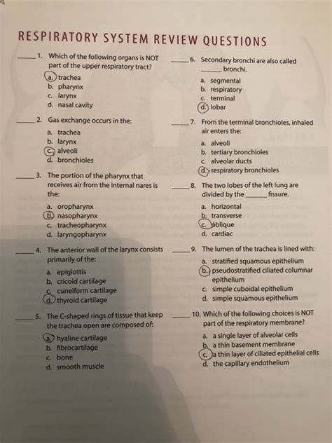 Solved Respiratory System Review Questions 1 Which Of The