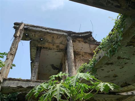 F6 Df6 Ab0 18 Fe 4469 86 F3 5 A68503 A6064 Hosted At Imgbb — Imgbb