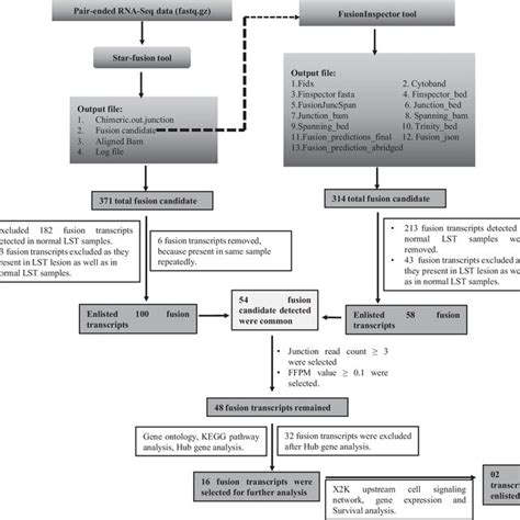 flow chart representing the selection criterion of fusion transcripts