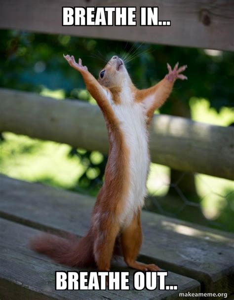 Breathe In Breathe Out Happy Squirrel Meme Generator
