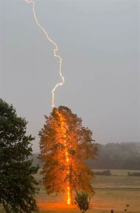 50 Wild Pics Showing Rare Coincidences That Almost Never Happen New
