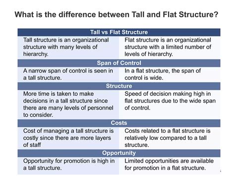 Organization Structure Ppt Pptx