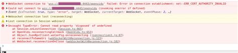 The Problem With The Connection To The Server Openvidu · Issue 91
