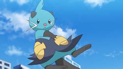 Dewott Pokémon Bulbapedia The Community Driven Pokémon Encyclopedia