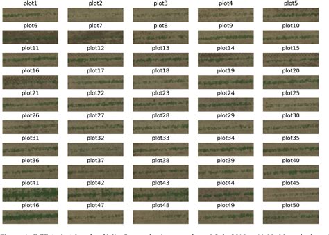 Figure 2 From Predicting Table Beet Root Yield With Multispectral Uas Imagery Semantic Scholar