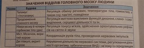 Визначте назву відділу головного мозку використавши інформацію таблиці про їхні особливості