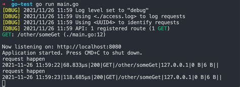BUG One Request Is Executed Twice Issue 1828 Kataras Iris GitHub