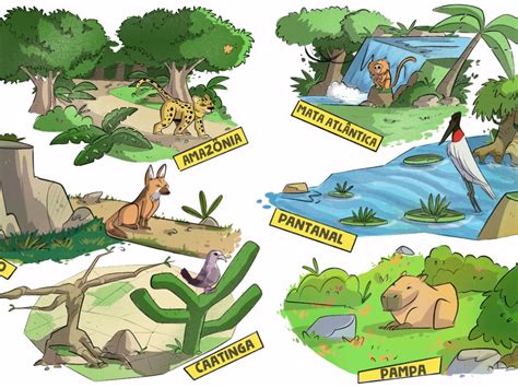 Os Biomas Brasileiros Mapa Mental Dos Biomas Brasileiros