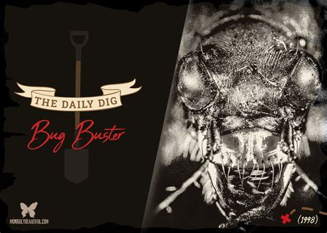 The Daily Dig Bug Buster 1998 Morbidly Beautiful