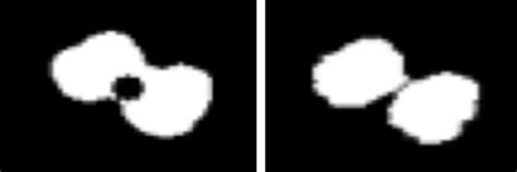 Implement Cell Tracking Step By Step Hanxiangs Pages