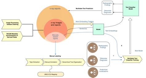 Dataset Building Pipeline The Padchest Dataset Consists Of 206222 Download Scientific Diagram