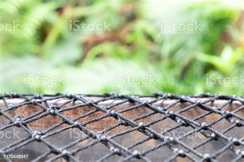 검은 메쉬 항목을 배치하기위한 바닥으로 사용 그리고 맑은 날에 배경에 녹색 숲이있다 복사 공간 배경에 대한 것입니다 개념에 대한