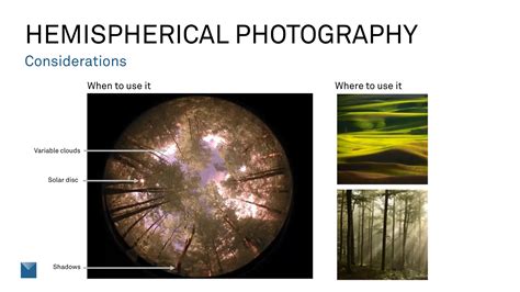 The Complete Guide To Leaf Area Index Pdf