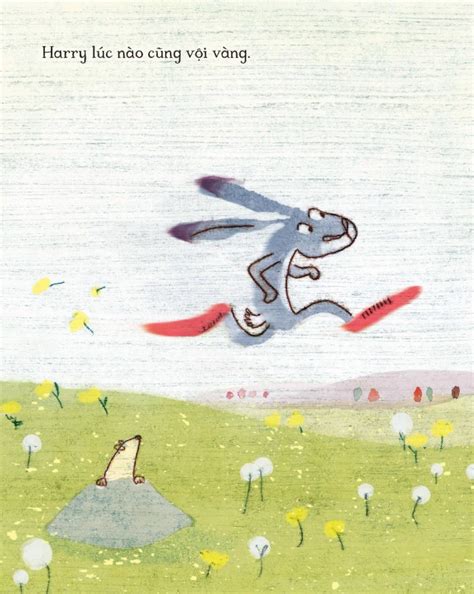 Thỏ Harry Hấp Tấp Fahasacom