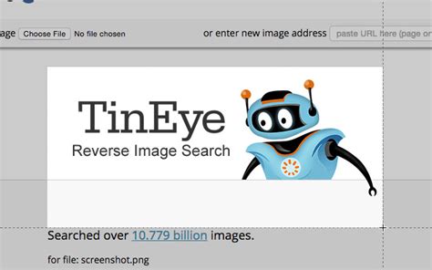 Reverse Image Search Chrome Web Store