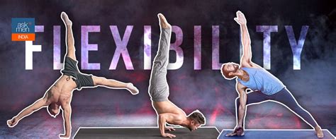 8 Gymnastics Stretching Exercises That Will Improve Your Flexibility