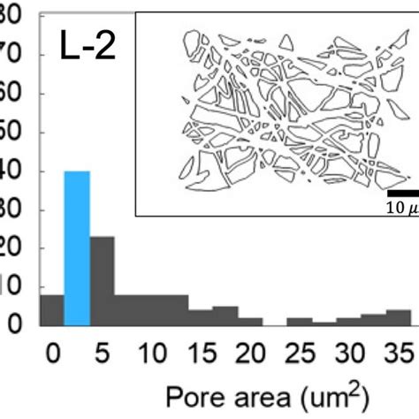Representative Histograms Of Pore Size Distribution For The Oldest Download Scientific Diagram