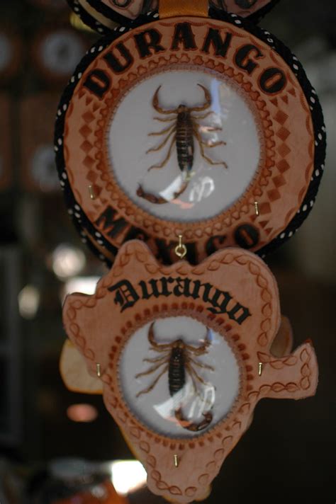 Scorpion Souvenirs Durango Nyusicka Flickr