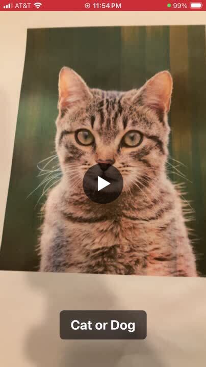 Ai Machinelearning Computervision Deeplearning Pytorch Reactnative Brendan Mcmullen