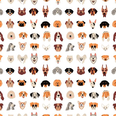 Rase De Caini Mici Veterinar La Domiciliu Bucuresti