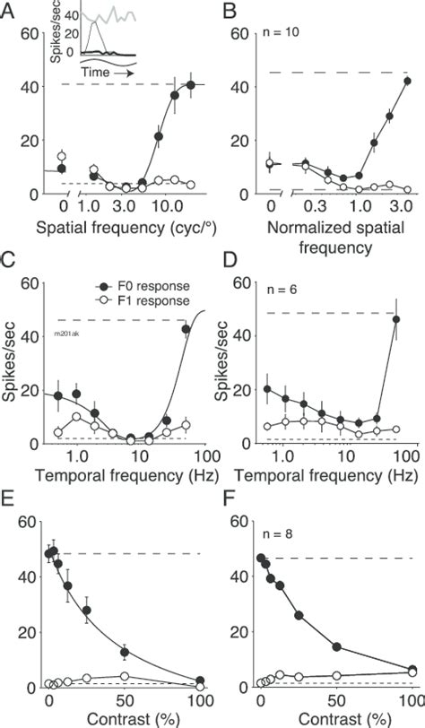 Spatiotemporal Tuning And Contrast Sensitivity Of Download