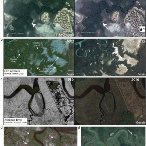 Figure S9 Examples Of Tidal Meander Cutoffs Colonized By Dense