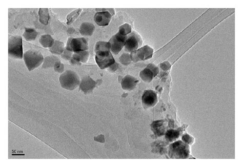 Tem Image Of Tio2 Nanoparticles Download Scientific Diagram